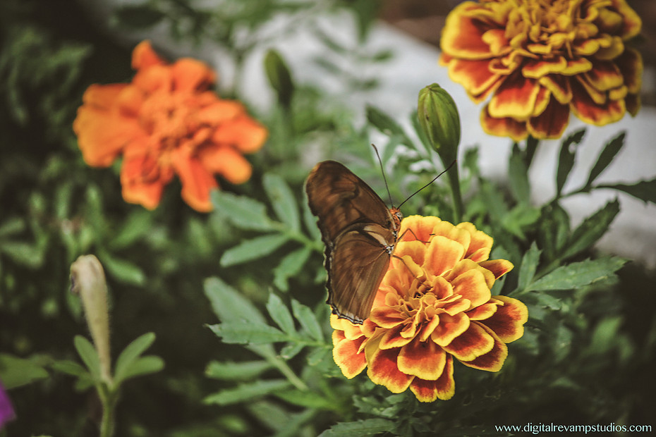 Why Should We Fear the Fingerprint of God? – Navigating by Faith