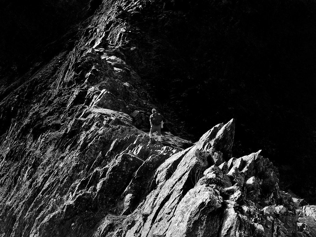 On the Sharp Edge is the Tension of a Narrow Path in the Natural and ...