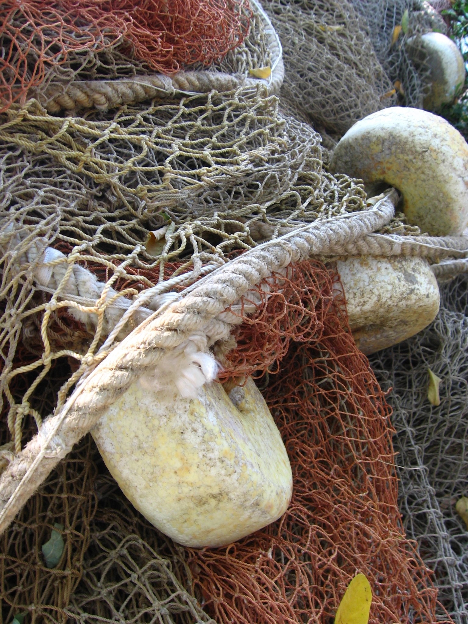 The Lesson of Peter’s Net – Navigating by Faith